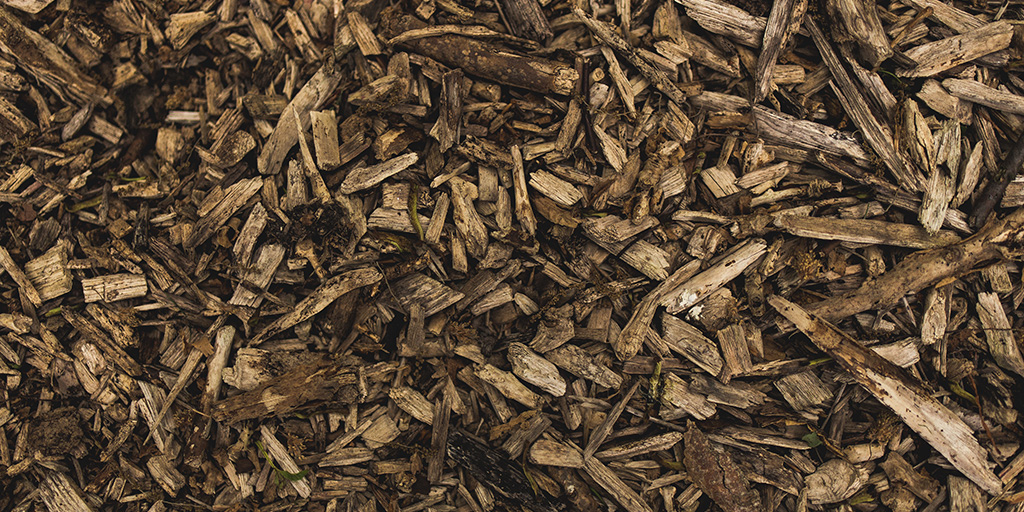 Do It Yourself Termite Extermination